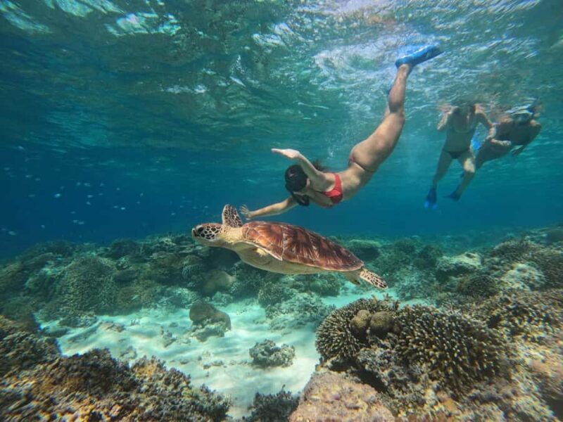 Gili Snorkeling Tour With GO PRO Documentation - Why This Tour Stands Out