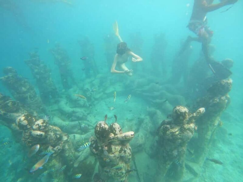 Gili T Island: Gili Snorkeling Day Trip Swim With Turtles - The Itinerary in Detail