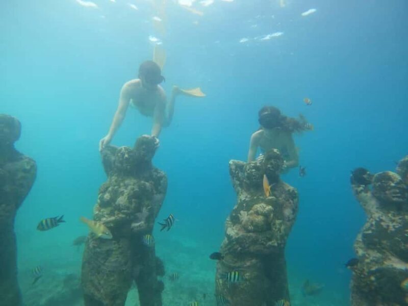 Gili T Island: Gili Snorkeling Day Trip Swim With Turtles - Who Will Love This Tour?