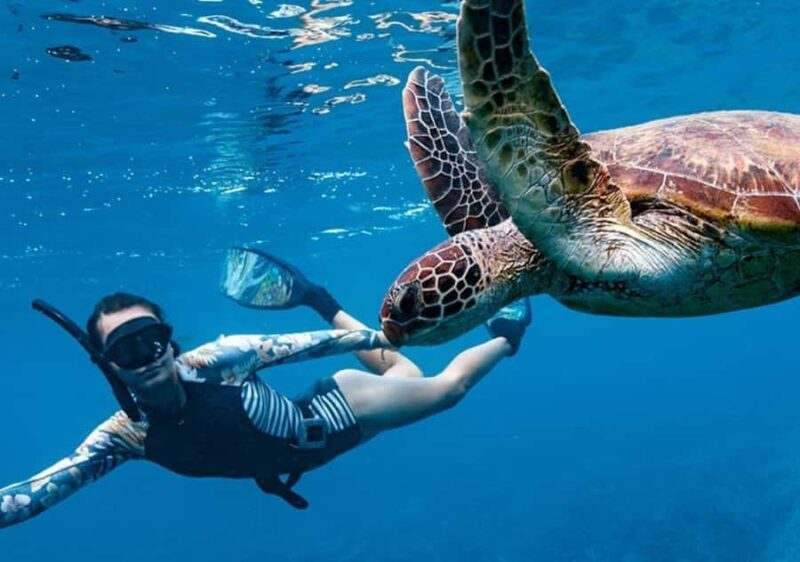 Gili T Island: The Thrilling Sunset Snorkeling Adventure - The Sum Up