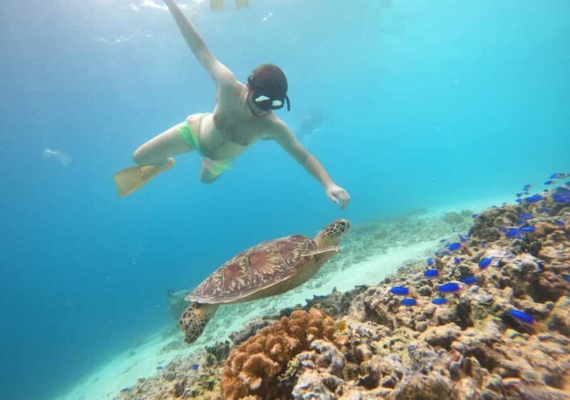 Gili T Island: The Thrilling Sunset Snorkeling Adventure - FAQ