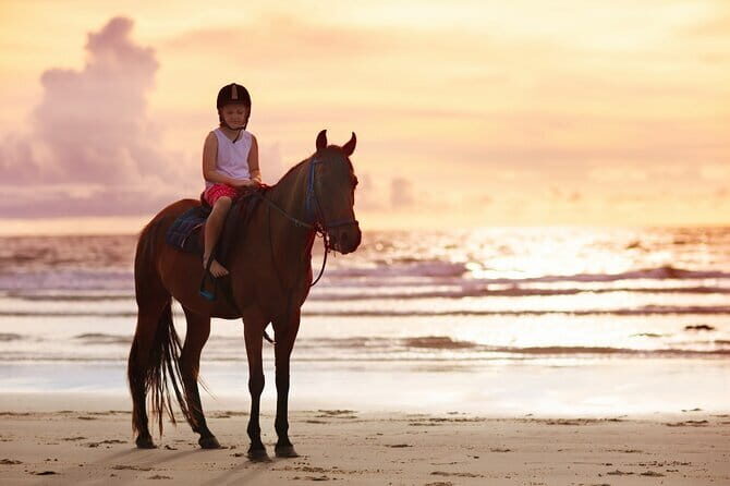 Gili Trawangan Beach Horseback Riding with Pickup Hotel - What to Expect on Your Gili Trawangan Horseback Riding Tour