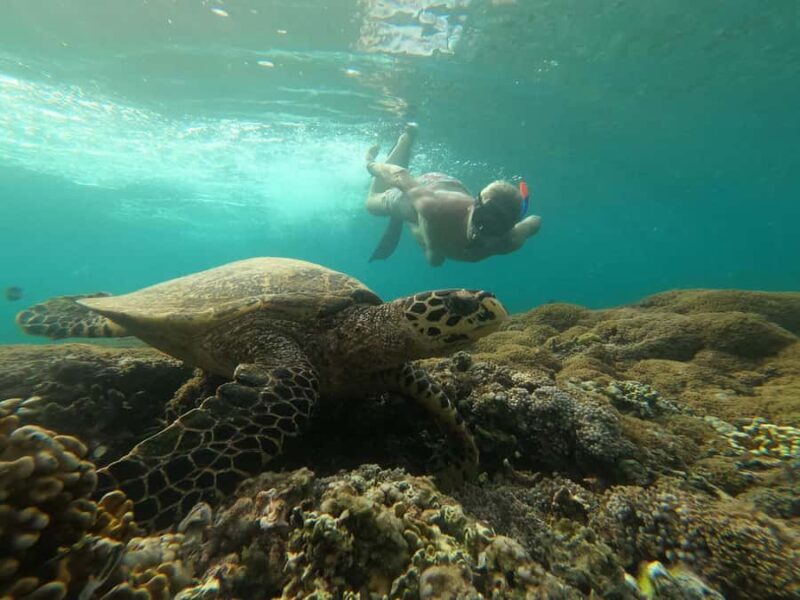 Gili Trawangan Best Snorkeling Trip With GOPRO documentation - The Itinerary: What to Expect from Start to Finish