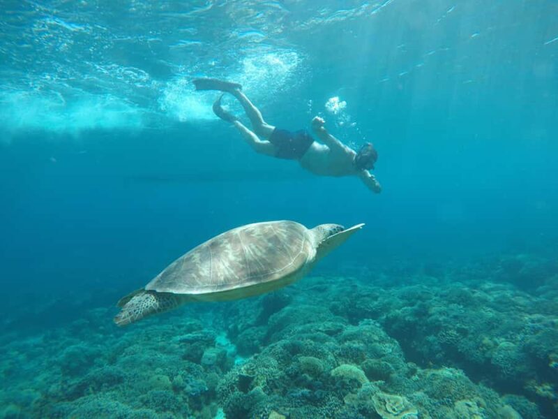 Gili Trawangan Best Snorkeling Trip With GOPRO documentation - Why This Tour Offers Great Value