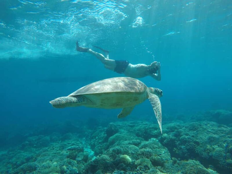 Gili Trawangan Best Snorkeling Trip With GOPRO documentation - Who Will Love This Tour?