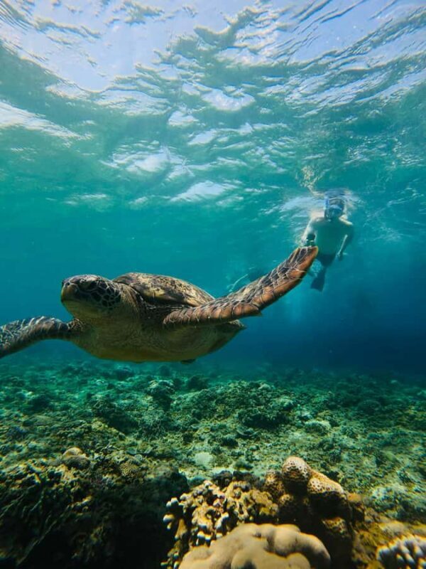 Gili Trawangan: Cycling Tour with Snorkeling and Viewpoint - Key Points