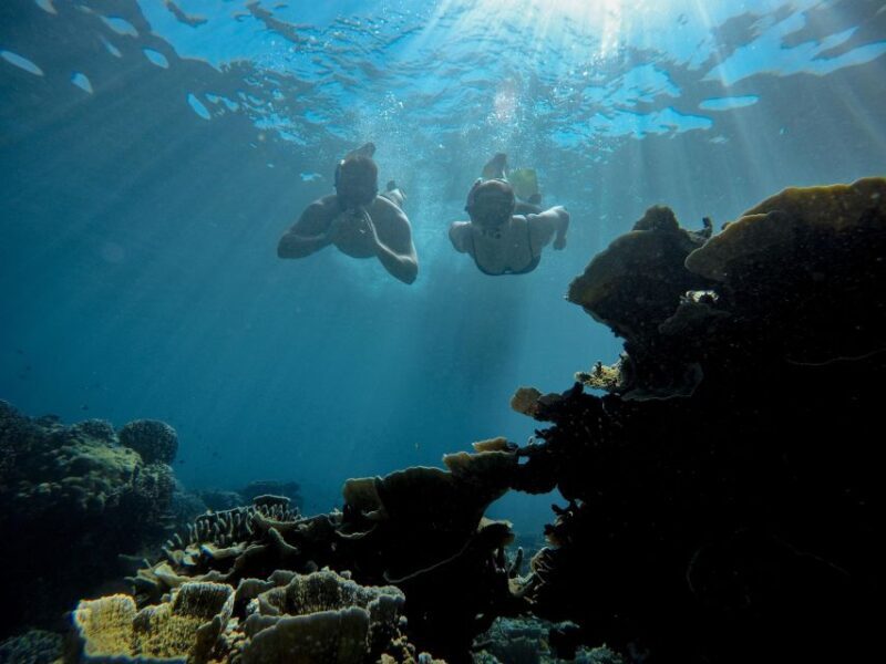 Gili Trawangan : Half Day Snorkeling with Turtle and Statue - FAQ