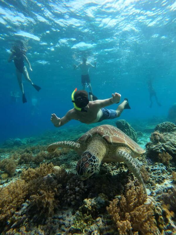 Gili Trawangan: Private Snorkeling (Coral, Statues, Turtles) - The Sum Up