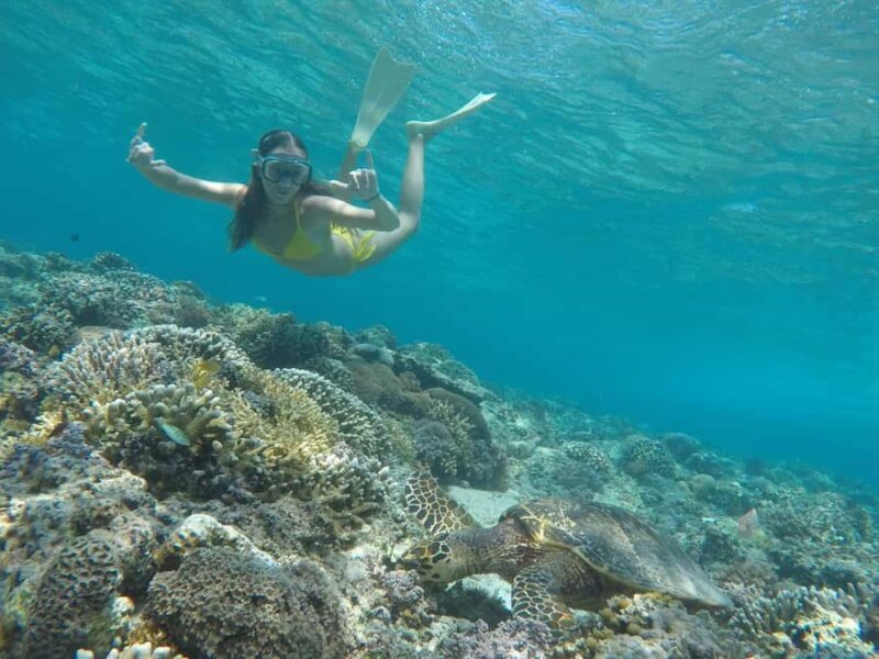 Gili Trawangan: Private Snorkeling Trip with GoPro Photos - An Efficient, Personalized Marine Adventure