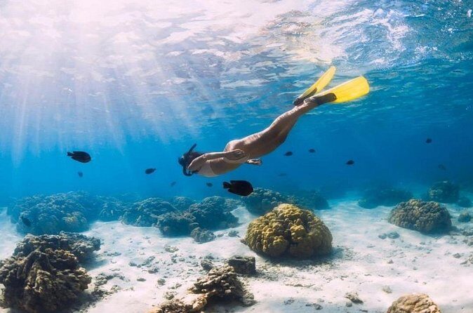 Gili Trawangan : Private Snorkeling with 3 spots or 4 spots - Who Is This Tour Best For?