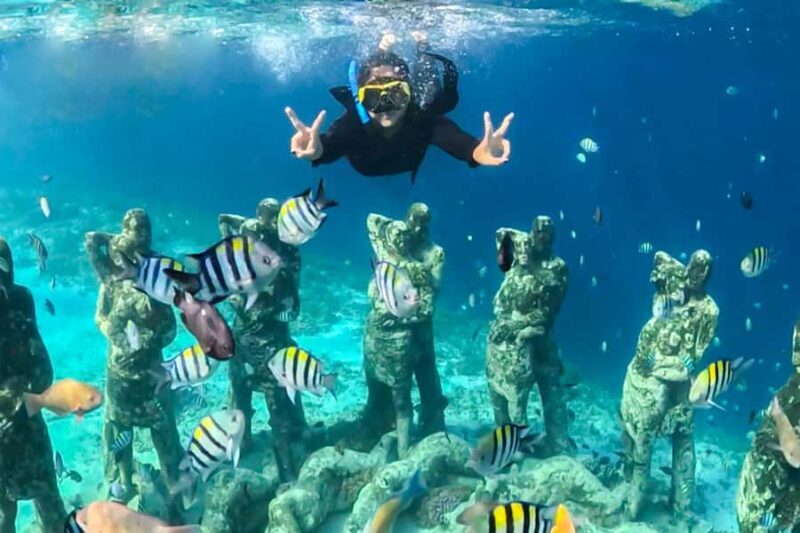 Gili Trawangan: Public Snorkeling Tour with Turtles and BBQ - A Close Look at the Experience