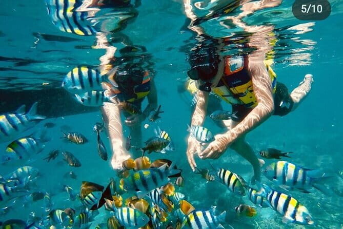 Gili Trawangan Snorkeling with Turtles & Underwater Statue - Final Thoughts: Is This Tour Worth It?