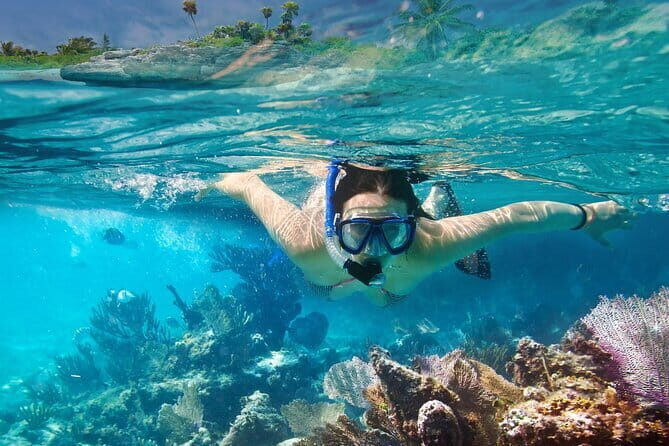 Gili Trawangan Snorkeling with Turtles & Underwater Statue - Who Should Consider This Tour?