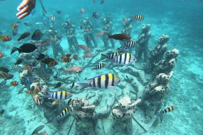 Gili Trawangan,Gili Meno& Gili Air Island:Snorkeling Day Trip Depart from Lombok - key takeaways