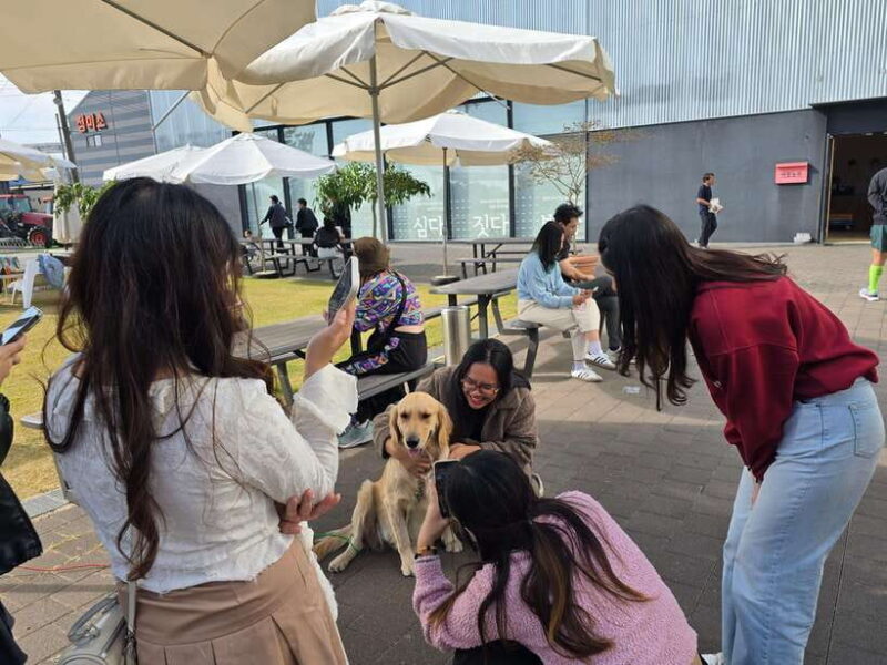 Gimpo: Gochujang Making & Aegibong Peace Eco Park Visit - The Sum Up