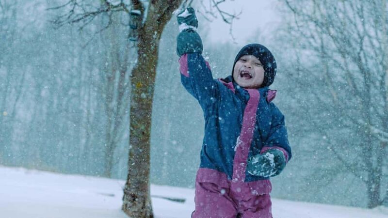 Ginzan Onsen &Zao Snow Monsters Winter 2-Day Tour From Tokyo - FAQs