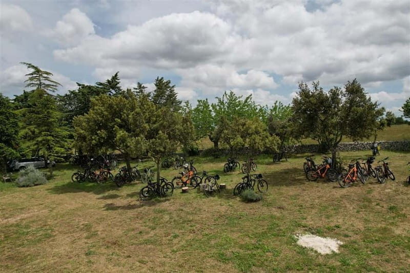 Gioia del Colle: E-Bike Tour through Vineyards & Wine - The Sum Up: Who Should Consider This Tour?