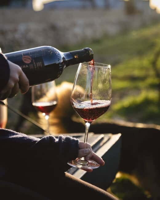 Gioia del Colle: Light Lunch with wine tasting - The Experience in Detail