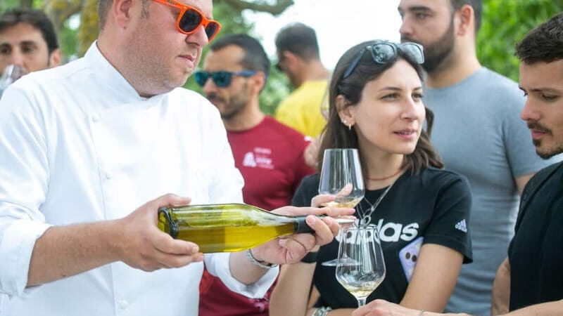 Gioia del Colle: Primitivo Wine Tasting in Local Winery - Who Is This Tour Best For?