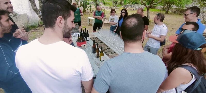 Gioia del Colle: Primitivo Wine Tasting in Local Winery - Frequently Asked Questions