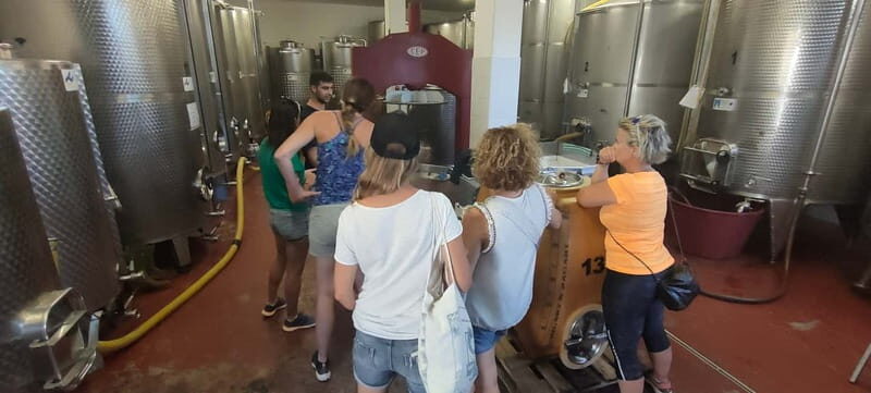 Gioia del Colle: Primitivo Wine Tasting in Local Winery - Final words