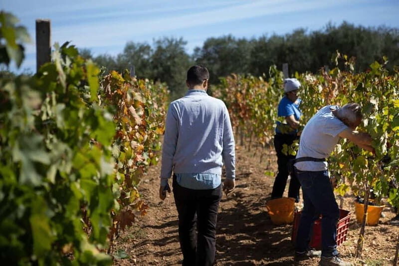 Gioia del Colle: Winery with Primitivo Tasting - FAQ