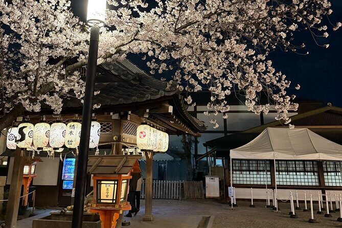 Gion Area Night Walking Private Tour ~Custom-made Tour~ - Detailed Breakdown of the Itinerary