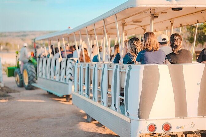 Giraffe Experience and Safari Wine Tour at Grapetown Vineyard - Practical Tips for Visitors