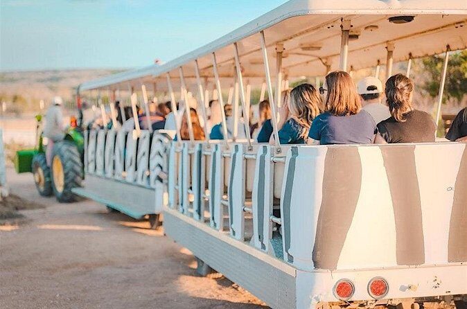 Giraffe Experience and Safari Wine Tour at Grapetown Vineyard - Final Thoughts