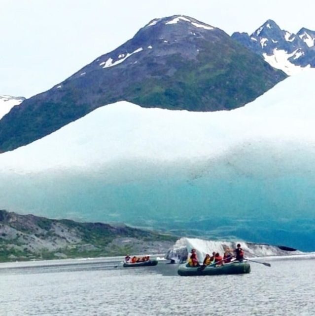 Girdwood: Bears, Trains, & Icebergs Tour - What Travelers Say