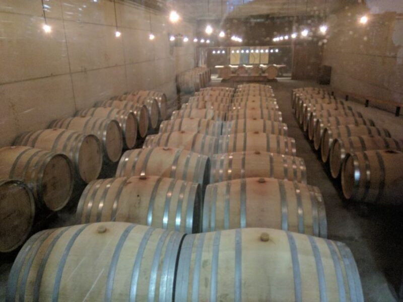 Girona: Local Wineries Tour with Breakfast and Wine Tasting - Who Should Consider This Tour?