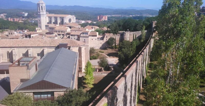 Girona: Small Group Jewish History Tour of Girona and Besalú - Deep Dive into the Itinerary