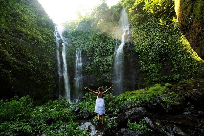 Gitgit and Alingaling Waterfalls Private Group Tour - Full Day - Frequently Asked Questions