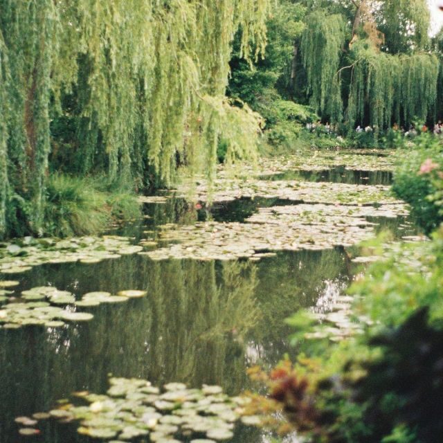 Giverny : Monet's house & Gardens Private tour from Paris - Additional Details & Practical Tips