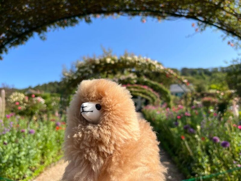 Giverny & Versailles Full-day Tour by Luxury Car - Final Thoughts: Is This Tour Right for You?
