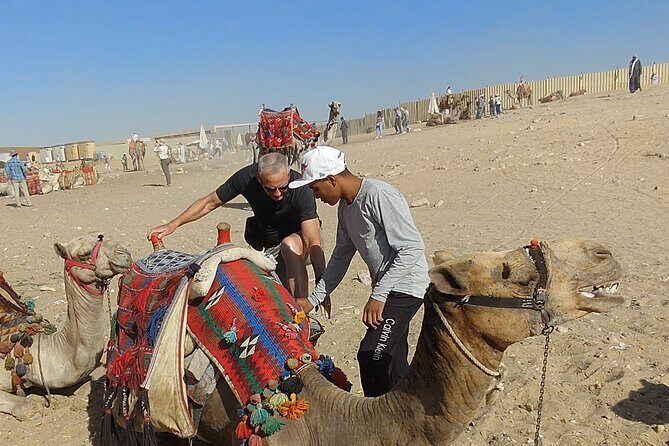 Giza Pyramid with Grand Egyptian Museum Tour - Who Will Appreciate This Tour?