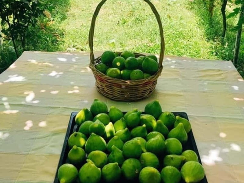 Gjirokastër: Antigonea Archaeological Park & Farm Meal - Final Thoughts