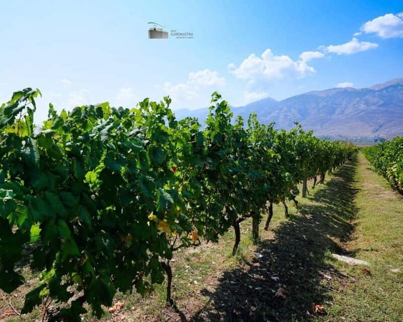 Gjirokaster: Vineyard, Wine Tasting & Farm-to-Table Dining - Scenic Location and Meeting Point