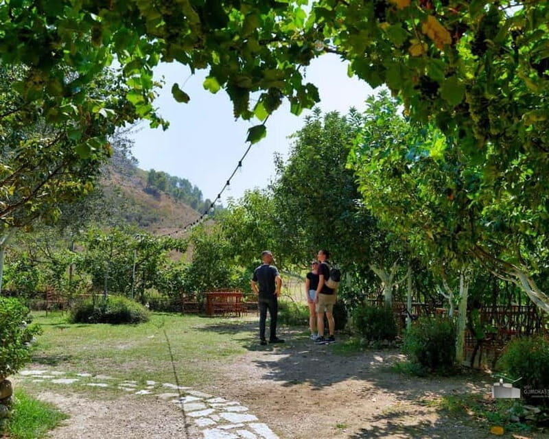 Gjirokaster: Vineyard, Wine Tasting & Farm-to-Table Dining - The Details That Matter