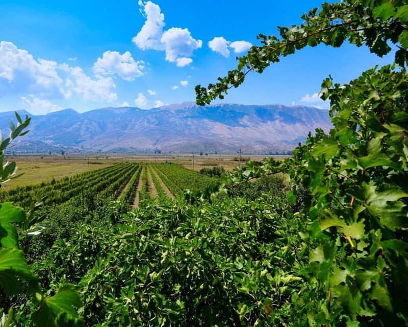 Gjirokaster: Vineyard, Wine Tasting & Farm-to-Table Dining - Who Will Enjoy This Tour?