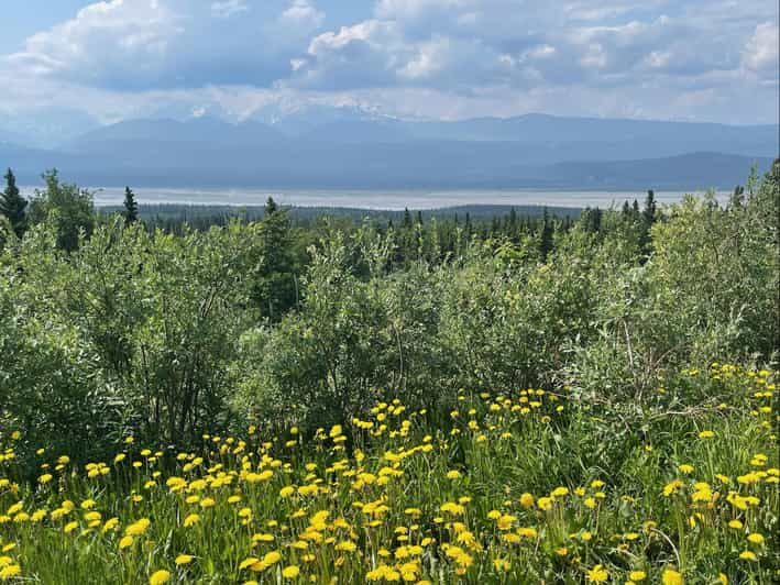 Glacial Lake, Waterfall and rainforest. Beauty of Turnagain! - The Experience from Travelers’ Perspectives