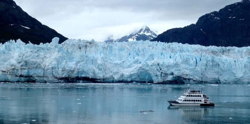 Glacier Bay: High Speed Catamaran Glacier & Wildlife Tour - Who Would Love This Tour?