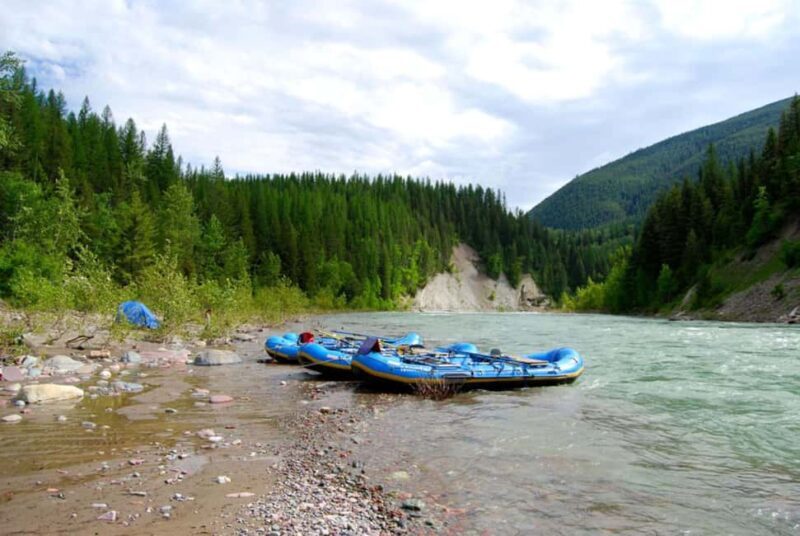 Glacier National Park: Scenic Float on the Flathead River - The Cost and How It Adds Value