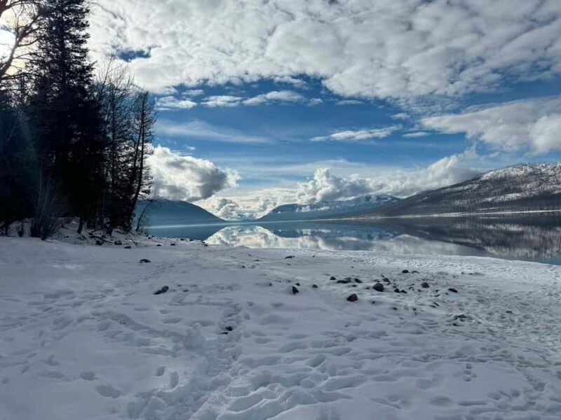 Glacier National Park: Winter Driving Tour with Lunch - What to Expect from the Experience