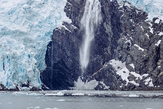 Glacier Quest Cruise and Coach Package - Returning to Anchorage: Reflecting on a Day Well Spent