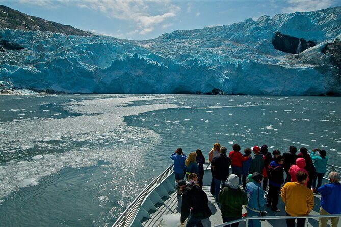 Glacier Quest Cruise and Coach Package - The Sum Up – Who Will Love This Tour?