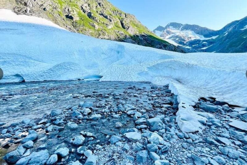 Glacier View & Wildlife Anchorage Adventure Tour - Key Points