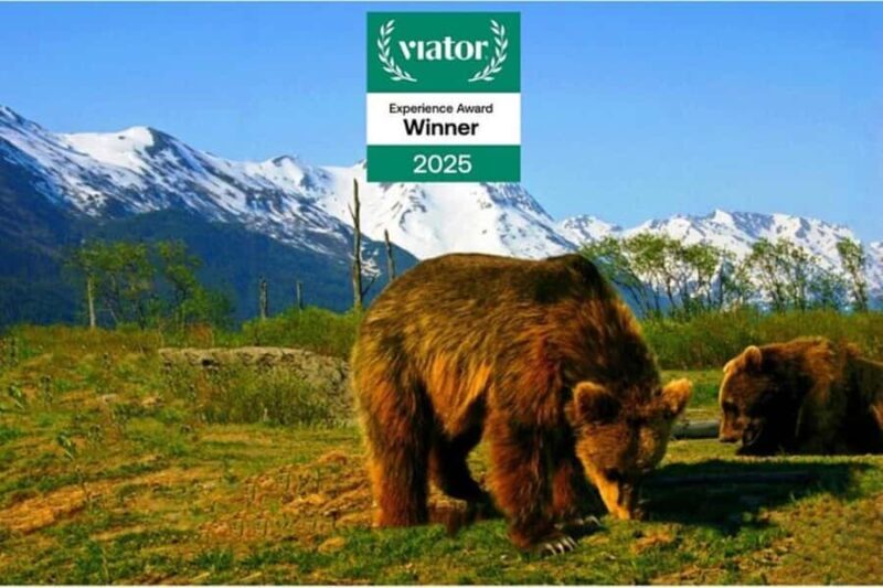 Glacier View & Wildlife Anchorage Adventure Tour - What To Expect During the Day