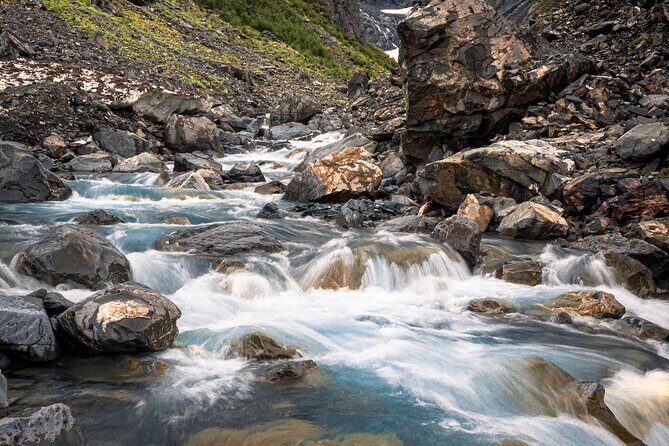 Glacier View & Wildlife Anchorage Adventure Tour - Who Should Consider This Tour?