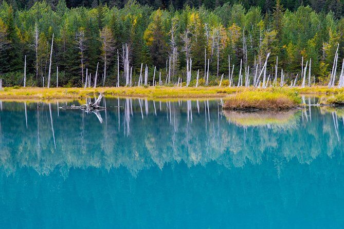 Glacier & Wildlife Discovery Tour - An Overview of the Experience